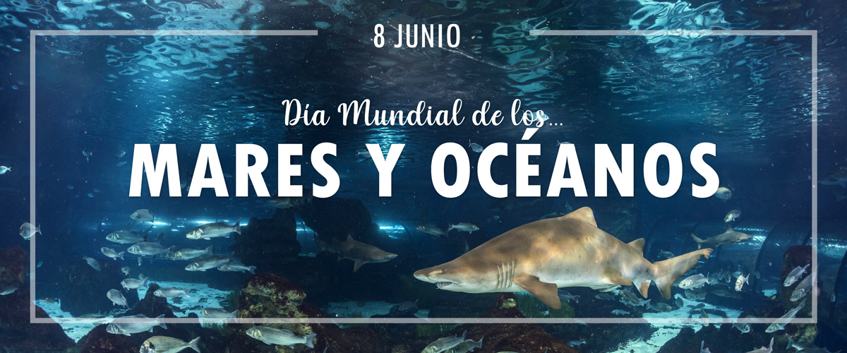 Oceanos Y Mares Los 10 Océanos Y Mares De Mayor Superficie Del