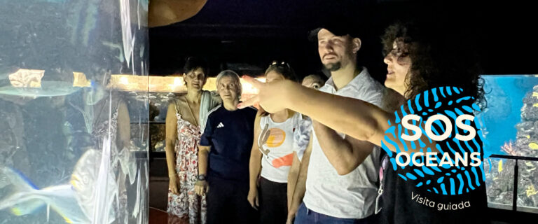 Family activities - L'Aquàrium